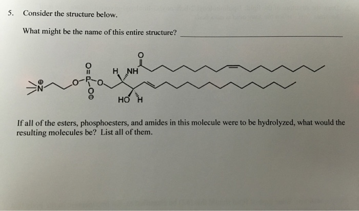 Solved Consider The Structure Below What Might Be The Name 2357