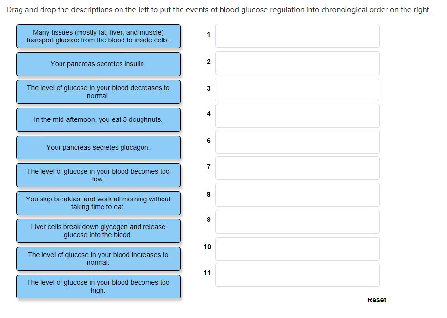 Solved Drag And Drop The Descriptions On The Left To Put The