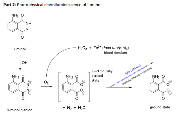 Solved Luminol experiment: 1. What inorganic redox | Chegg.com