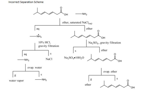 Solved Correct the separation scheme. For each mistake, | Chegg.com