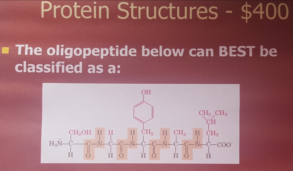Solved rotein Structures - $400 The oligopeptide below can | Chegg.com