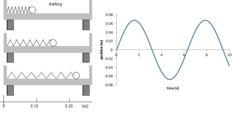 Solved Simple Harmonic Motion A ball attached to a spring | Chegg.com