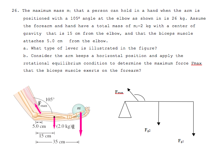 Solved The maximum mass m_1 that a person can hold in a hand | Chegg.com