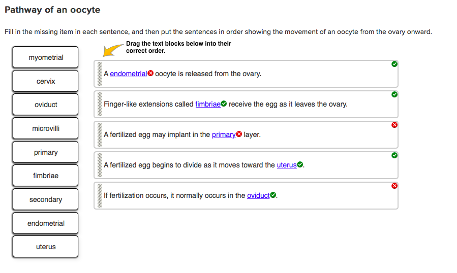 Solved Fill in the missing item in each sentence, and then | Chegg.com
