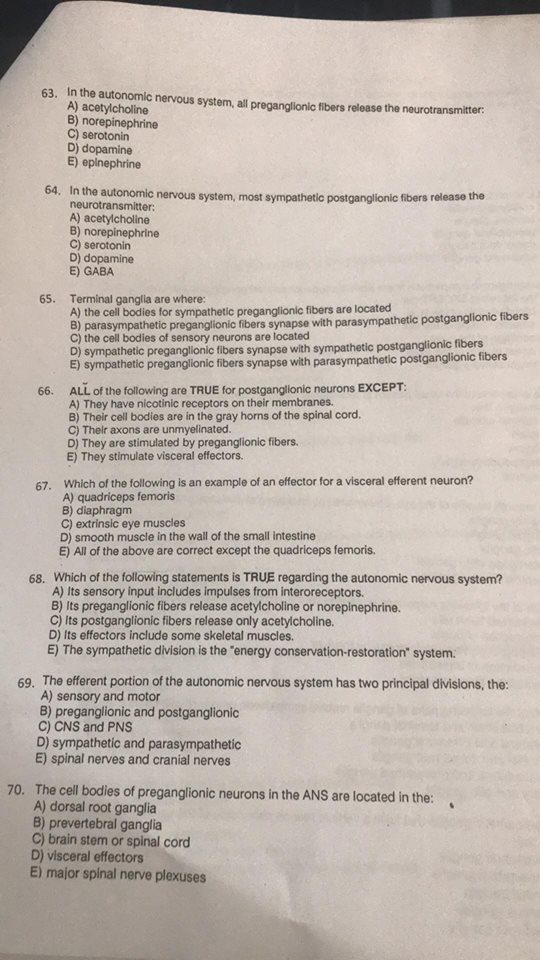 Solved In the autonomic nervous system, all preganglionic | Chegg.com