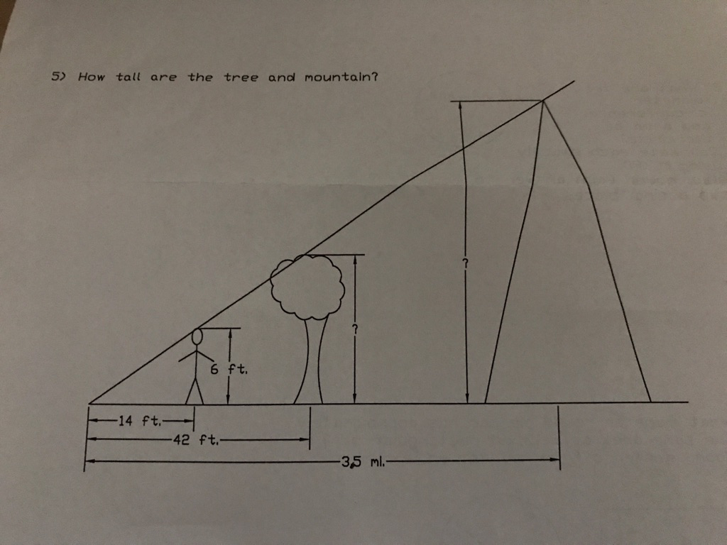 Solved How tall are the tree and the mountain? Person base | Chegg.com