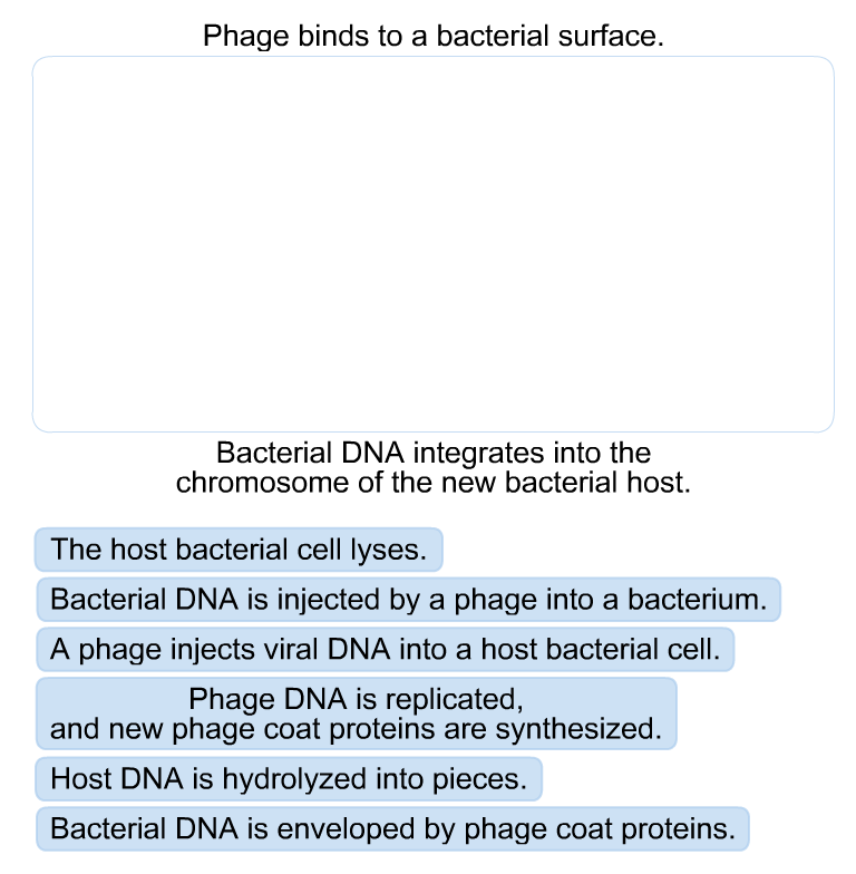 Solved Place The Steps Of Generalized Transduction In Order