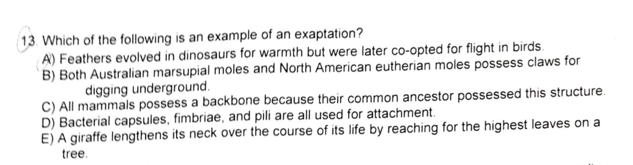 Solved 13 Which of the following is an example of an | Chegg.com