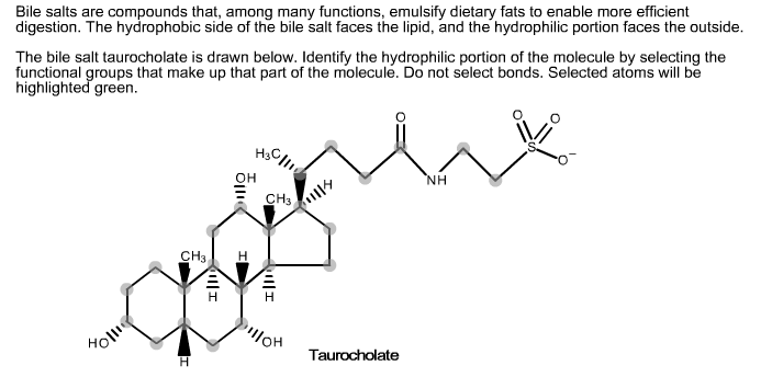 Solved Bile salts are compounds that, among many functions, | Chegg.com