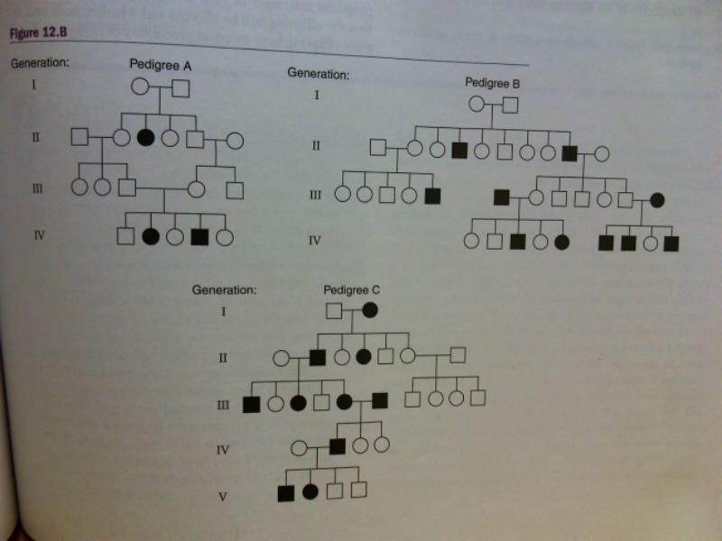 For each of the more complex pedigrees shown in | Chegg.com