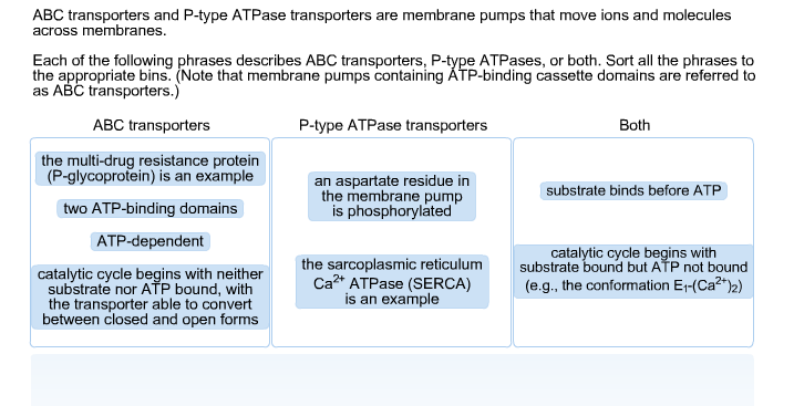 Solved ABC transporters and P-type ATPase transporters are | Chegg.com