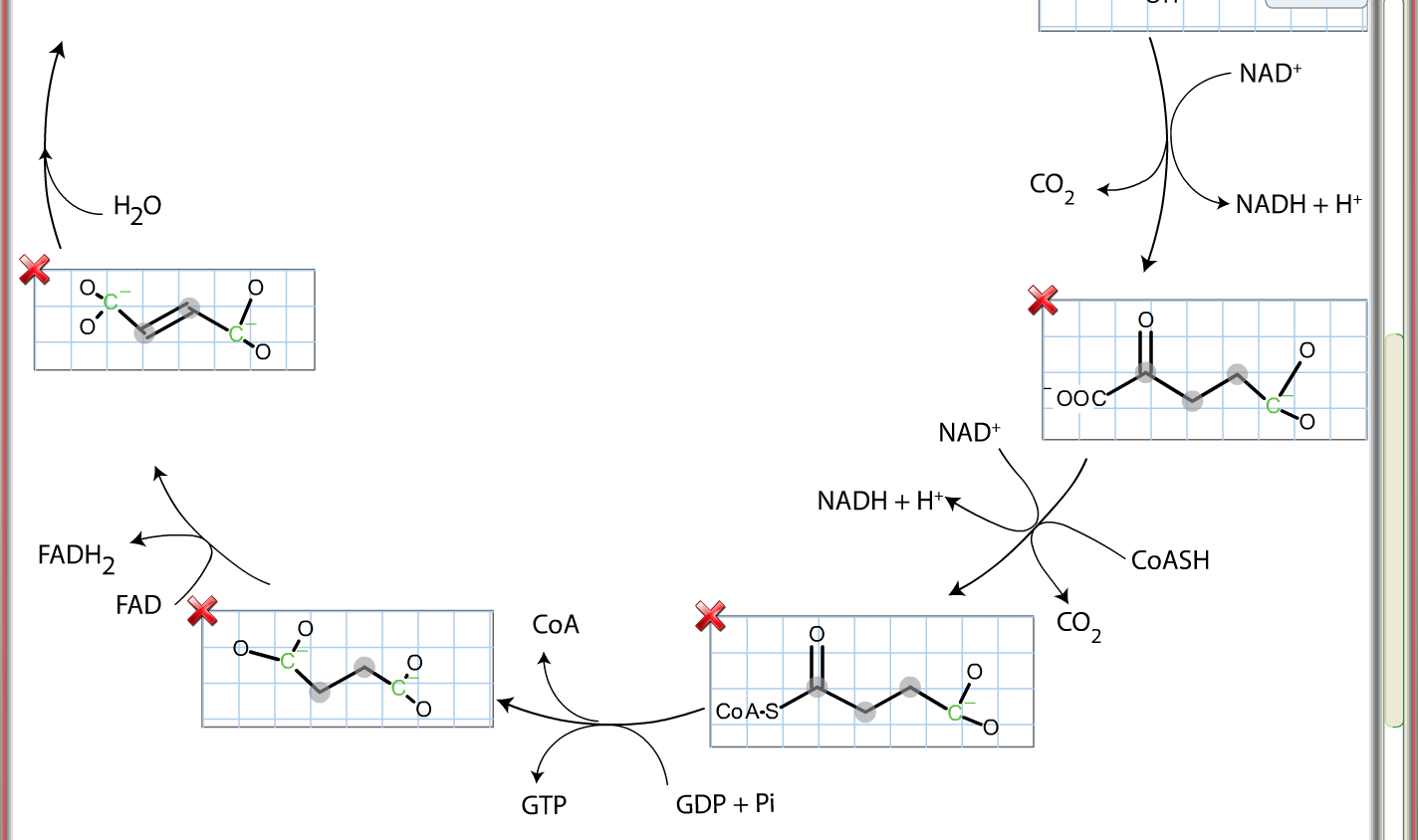 Solved The citric acid cycle is shown below. The carbonyl | Chegg.com