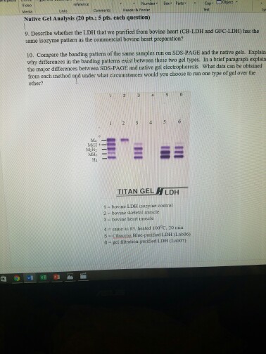 Native Gel Analysis (20 pts., 5 pts, each question) | Chegg.com