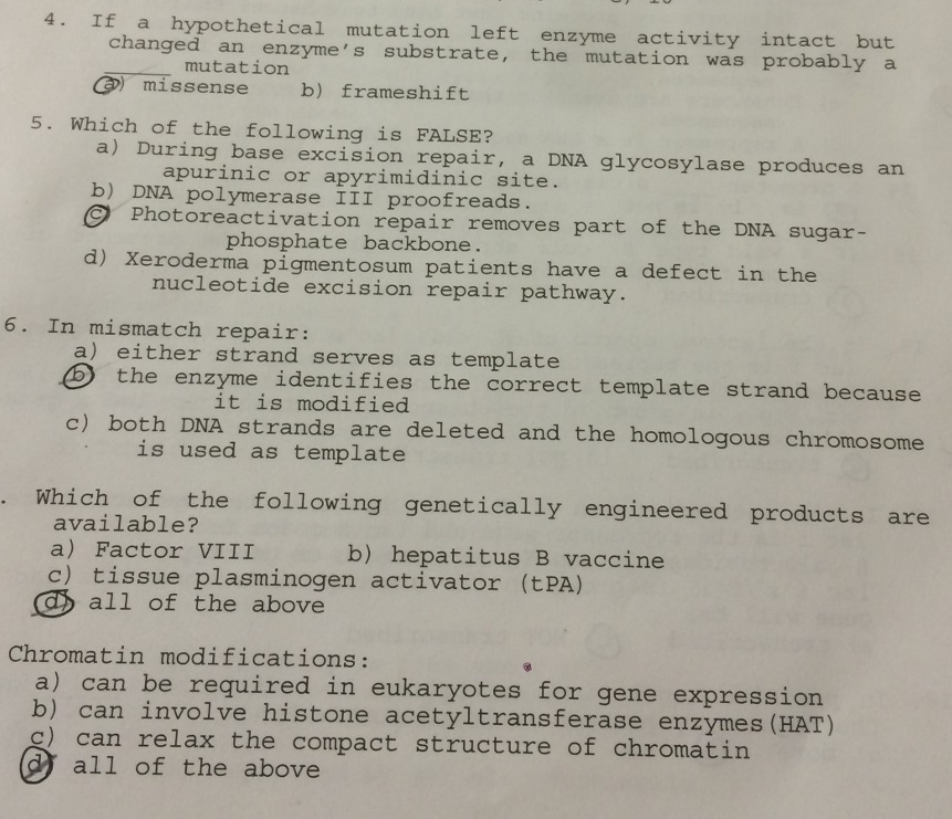 Solved 4. If a hypothetical mutation left enzyme activity | Chegg.com