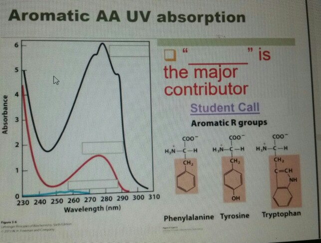 Solved Aromatic AA UV absorption 6 is the major contributor | Chegg.com