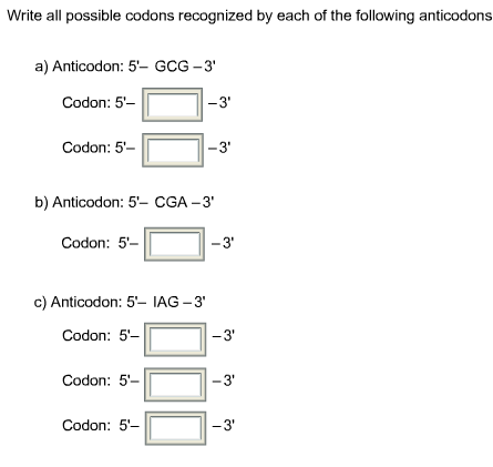 Write all possible codons recognized by each of the | Chegg.com