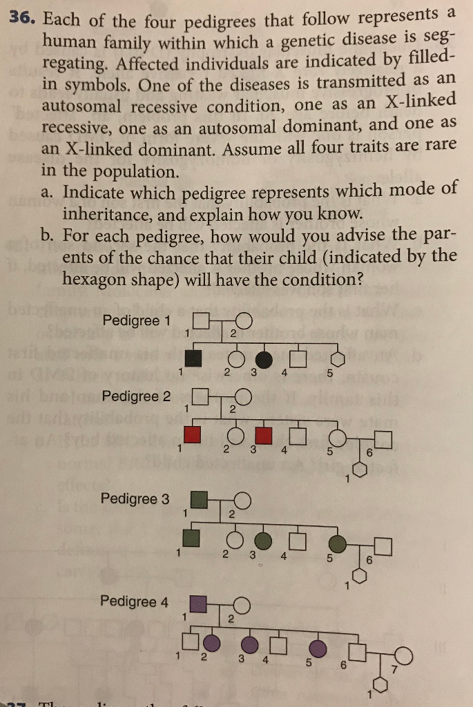 Solved GENETICS: I fully understand 36.a but I am super | Chegg.com