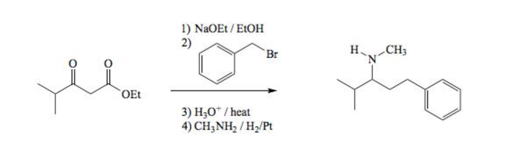 Solved 1) NaOEt/EtOH 2) Br 3) H30 /heat 4) CH3NH2/H2/Pt | Chegg.com