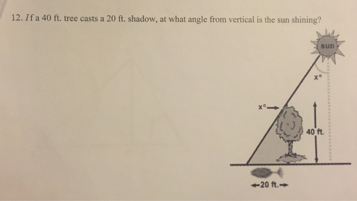 Solved If a 40 ft. tree casts a 20 ft. shadow, at what angle | Chegg.com