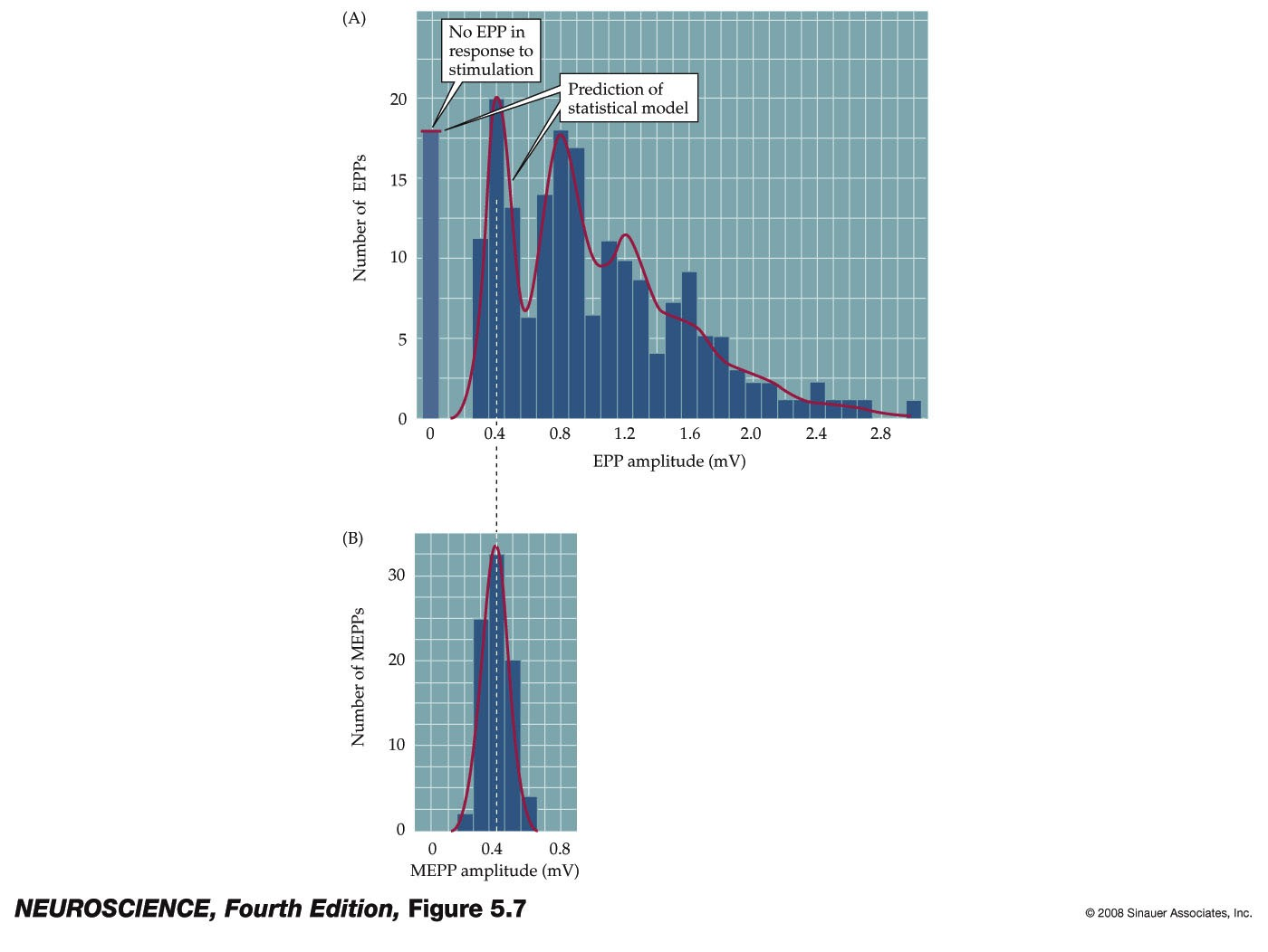 Based on the figure below what is the size of a | Chegg.com