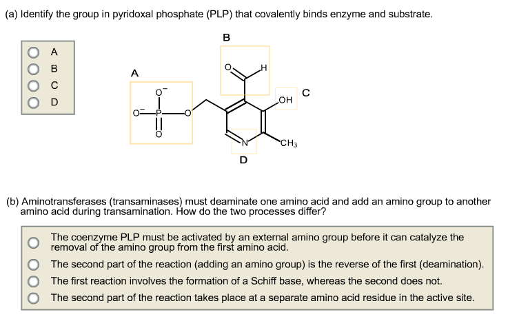 Solved Identify the group in pyridoxal phosphate (PLP) that | Chegg.com