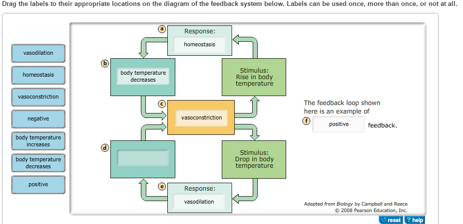Can You Drag The Labels To The Correct Locations In This Diagram Of ...