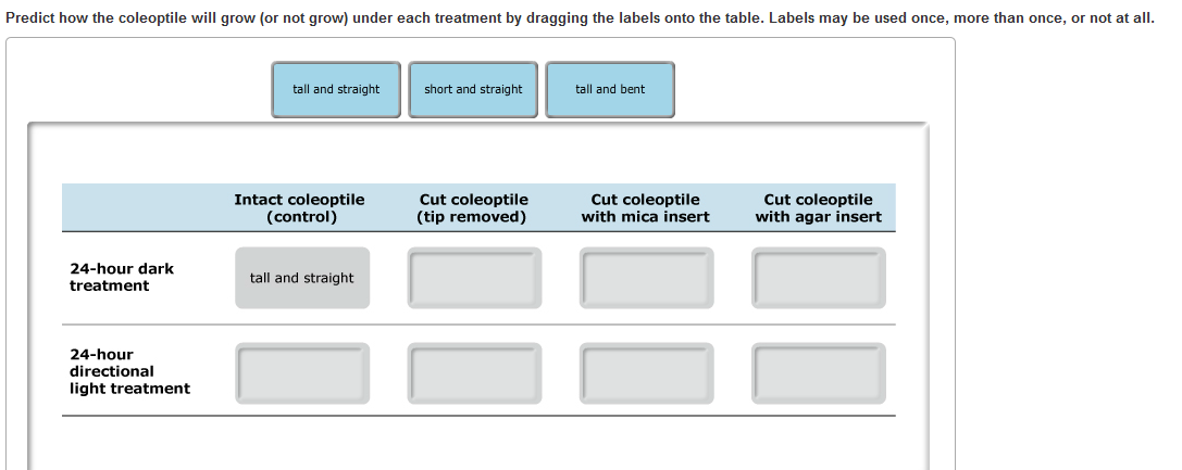 Solved Predict how the coleoptile will grow (or not grow) | Chegg.com