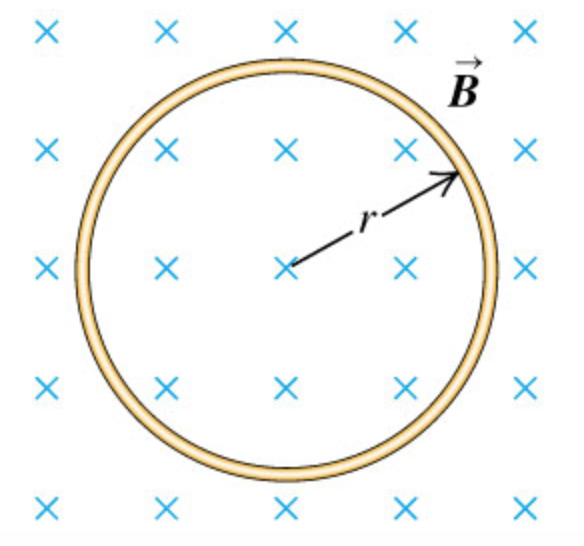 Solved A circular loop of wire with radius 0.0210 m and | Chegg.com