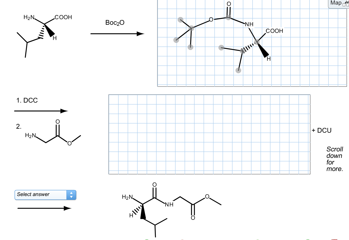 Solved Amino acids contain reactive functional groups that | Chegg.com