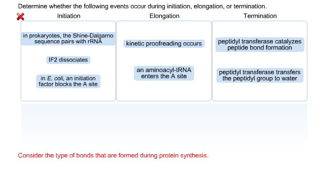 Solved Determine whether the following events occur during | Chegg.com