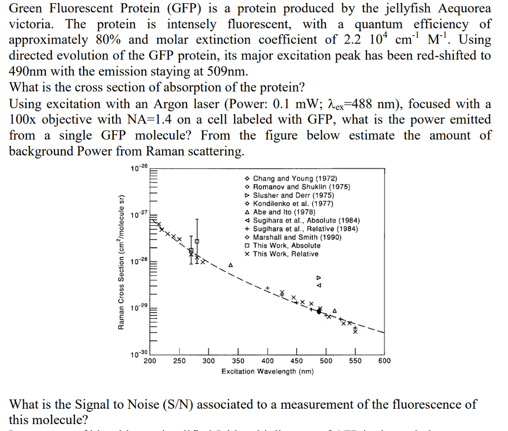 Green Fluorescent Protein (GFP) is a protein produced | Chegg.com