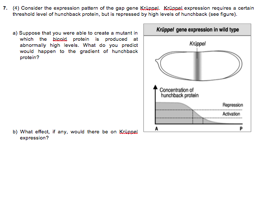 Solved 7. (4) Consider the expression pattern of the gap | Chegg.com