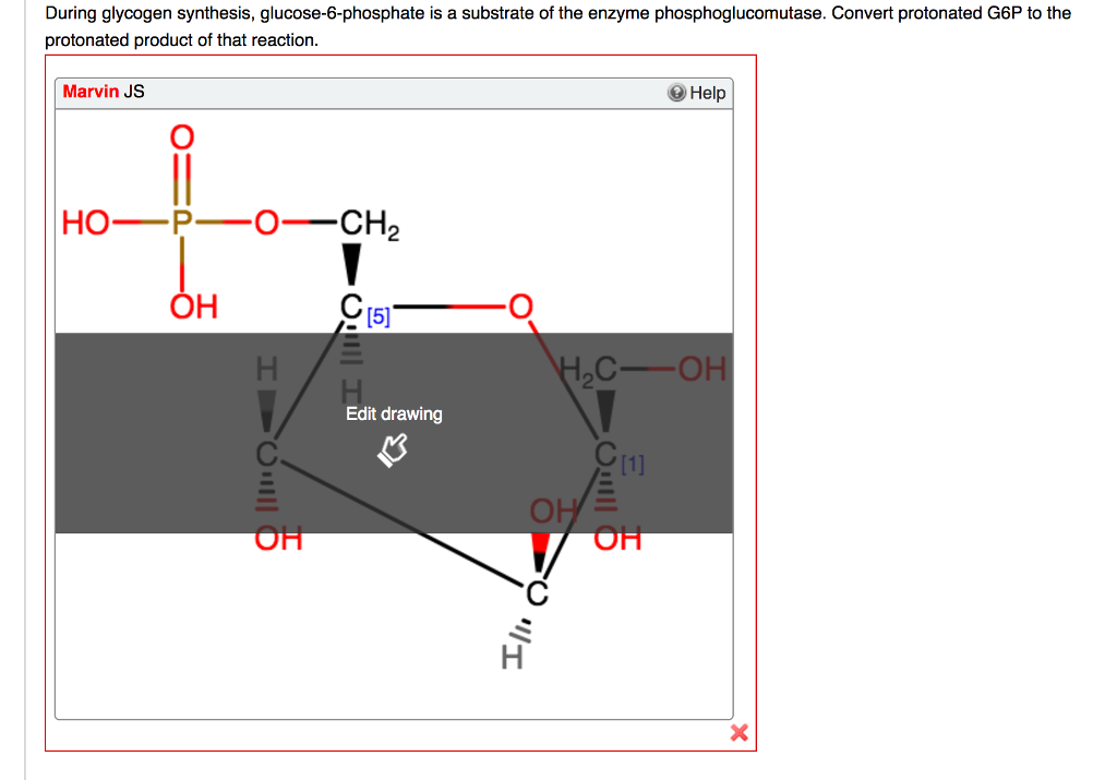Solved During glycogen synthesis, glucose-6-phosphate is a | Chegg.com