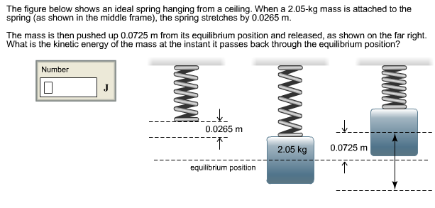 Solved The figure below shows an ideal spring hanging from a | Chegg.com