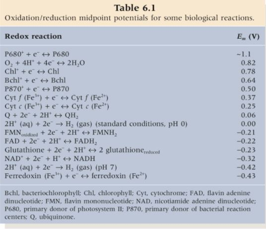 11. Calculate the midpoint potential for a protein | Chegg.com