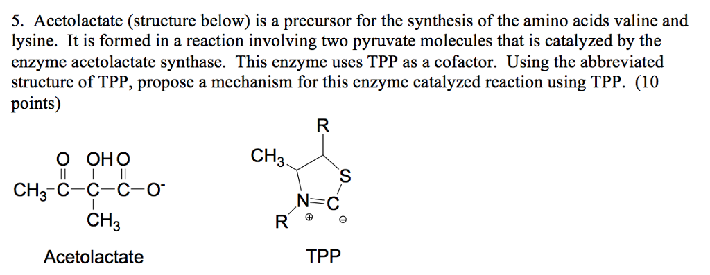Acetolactate (structure below) is a precursor for the | Chegg.com