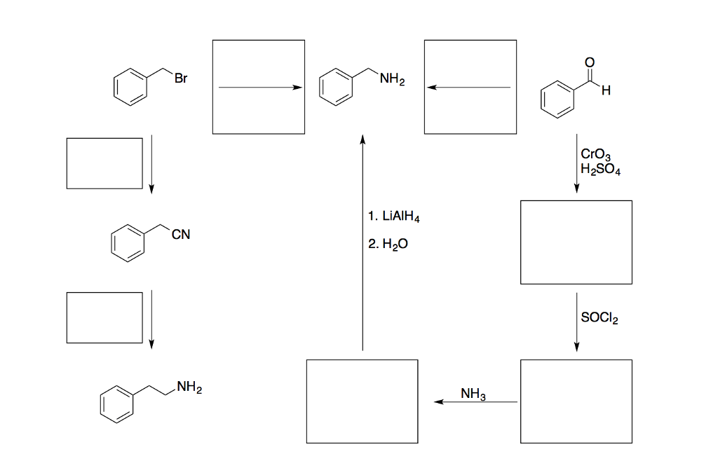 Solved Br CN NH NH 1. LiAIH4 2. H20 NH Cro H2SO4 SOC | Chegg.com