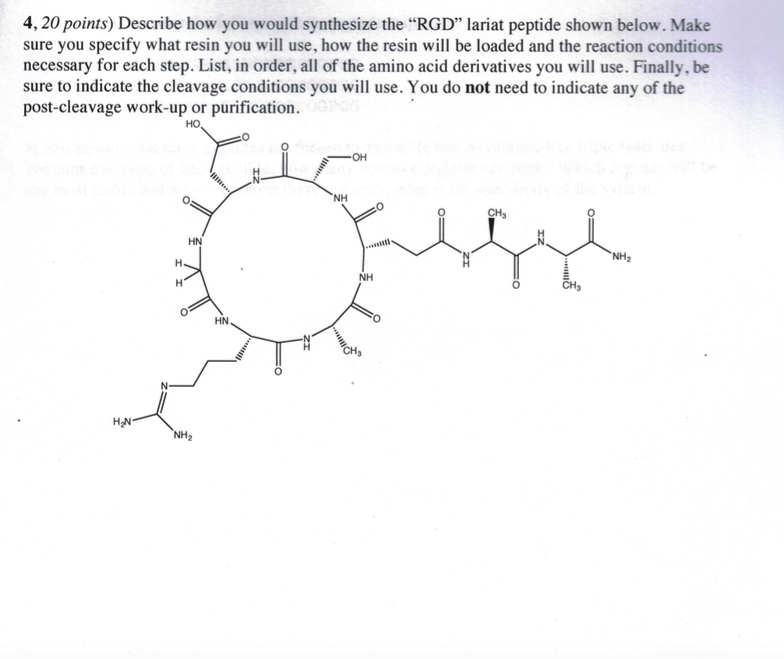 Solved Describe how you would synthesize the "RGD" lariat | Chegg.com