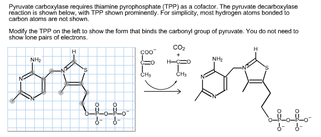 Solved Pyruvate carboxylase requires thiamine pyrophosphate | Chegg.com