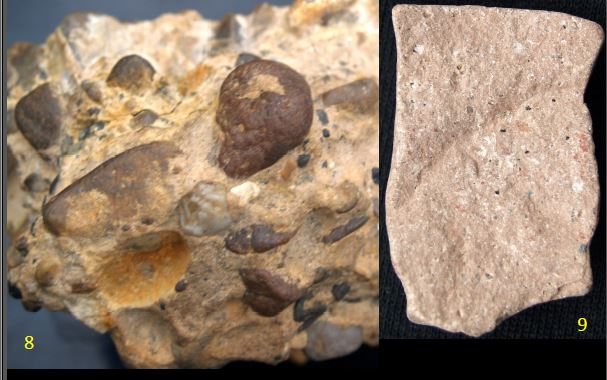 Solved Using the Key and the Rock Images Guide, identify the | Chegg.com