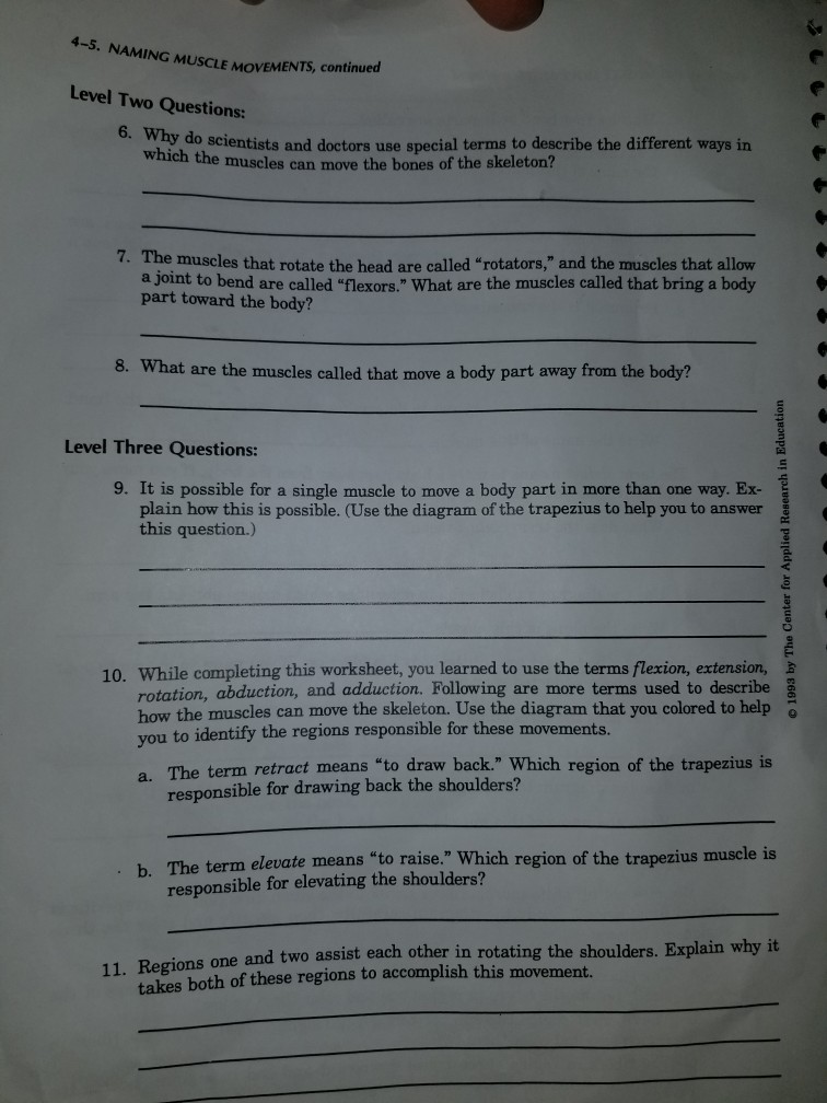 Solved Name Date 4-5. NAMING MUSCLE MOVEMENTS Instructions: | Chegg.com