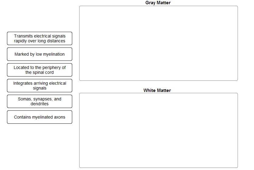 Solved Drag each label into the appropriate category to | Chegg.com Solved Drag each label into the appropriate category to | Chegg.com
