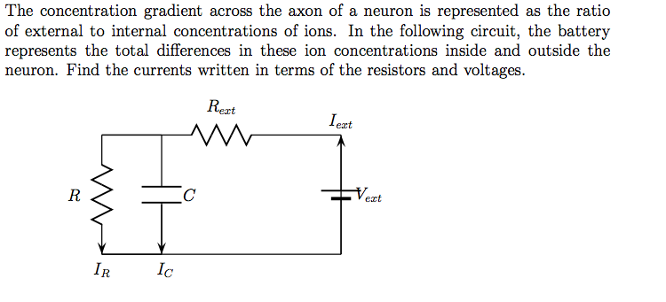 Solved The concentration gradient across the axon of a | Chegg.com
