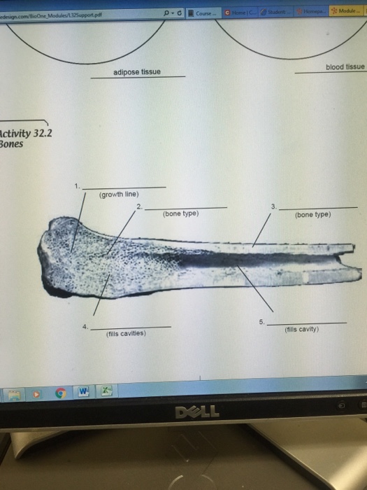 Solved Module 7 Lab Questions Hide Folder Information Folder | Chegg.com