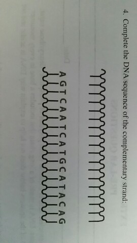 Solved Complete the DNA sequence of the complementary | Chegg.com