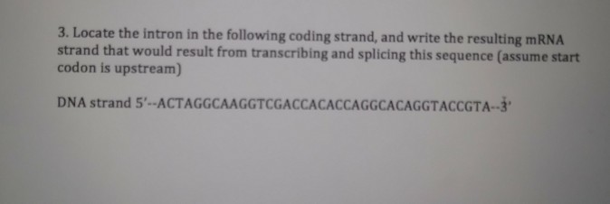 Solved 3. Locate the intron in the following coding strand, | Chegg.com