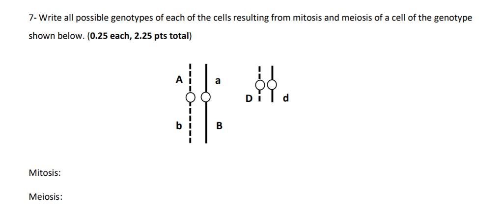 Solved 7- Write all possible genotypes of each of the cells | Chegg.com