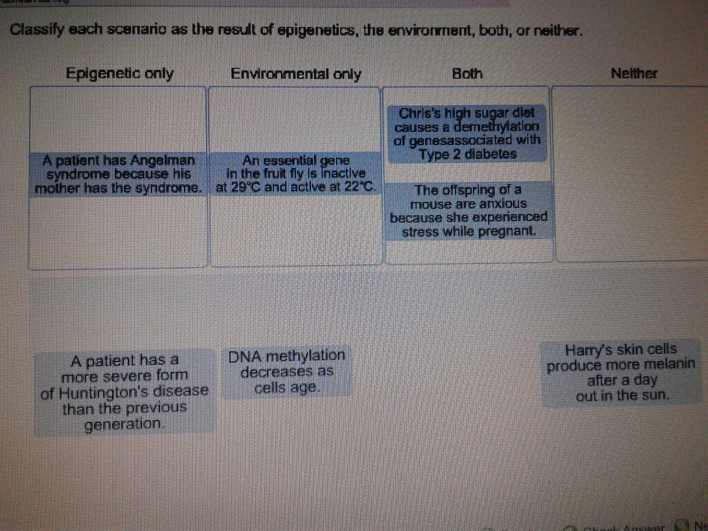 Solved Classify each scenario as the result of epigenetics, | Chegg.com