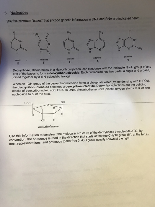 Solved The five aromatic "bases" that encode genetic | Chegg.com
