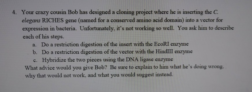 Solved Your crazy cousin Bob has designed a cloning project | Chegg.com